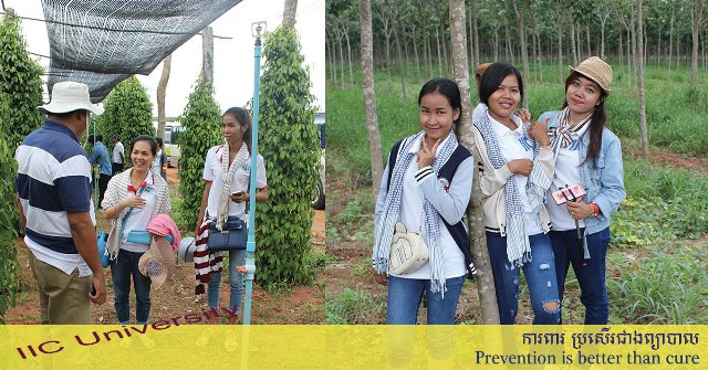 IIC University Of Technology